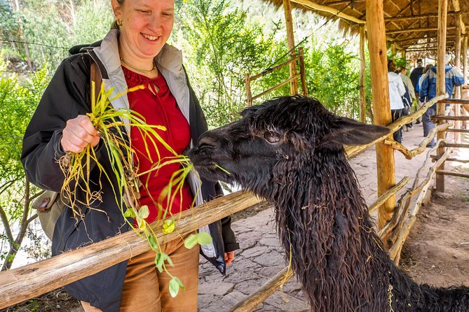 Sacred Valley + Machu Picchu With Peru Vip - Accessibility