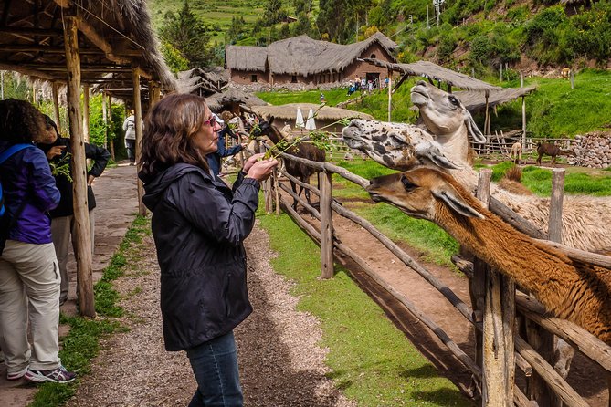 Sacred Valley + Machu Picchu With Peru Vip - What to Expect