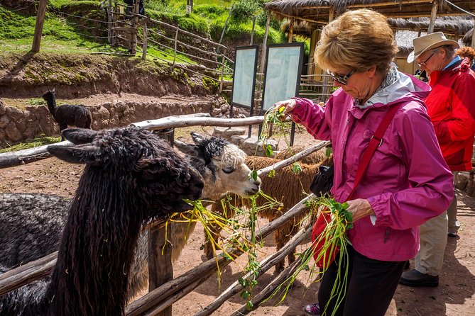 Sacred Valley + Machu Picchu With Peru Vip - Tour Highlights