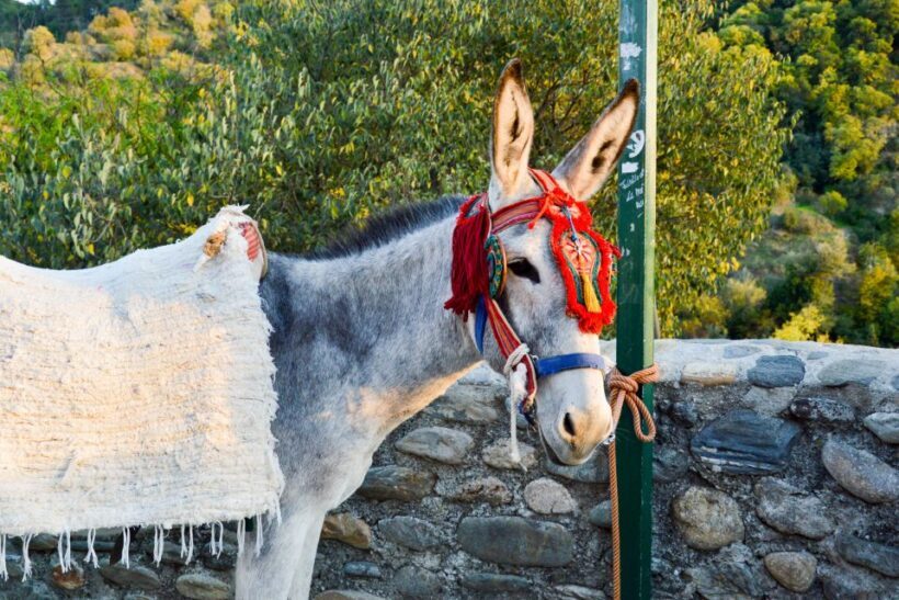 Sacromonte Caves Museum Admission Ticket - FAQ