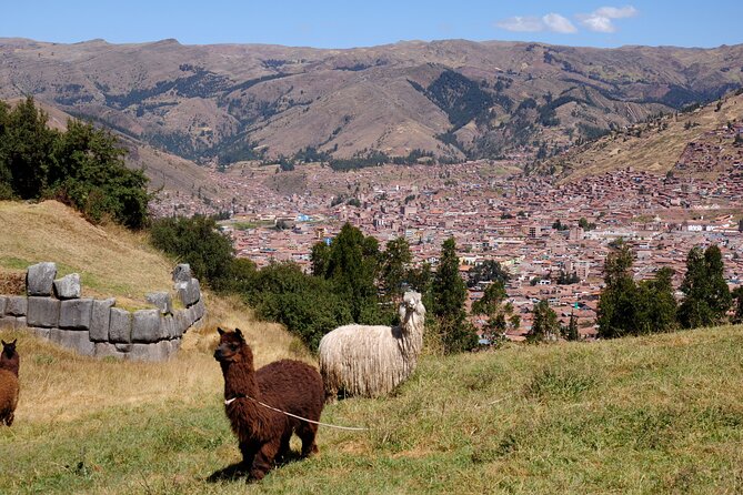 Sacsayhuaman Inca's Temple, Tambomachay, Puca Pucara & Q'enqo Half-Day Tour - Tambomachay