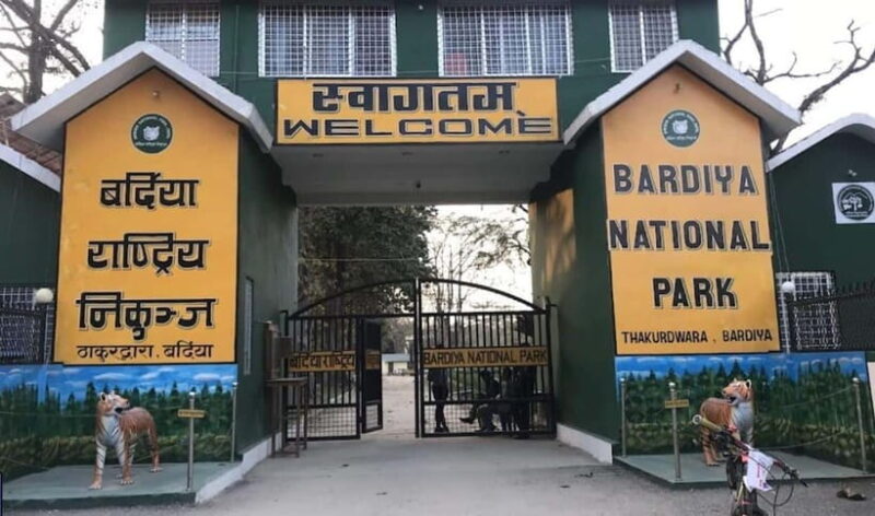 Safari Adventure in Bardia 3D/2N - Who Should Consider This Tour?