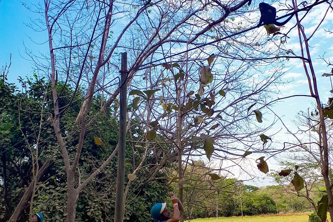 Safari & Barigona Beach on Horseback - Pricing and Booking