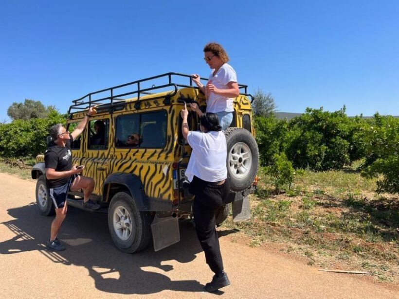 Safari & Boat Tour - Mountains & Dolphins - What Makes This Tour Stand Out?