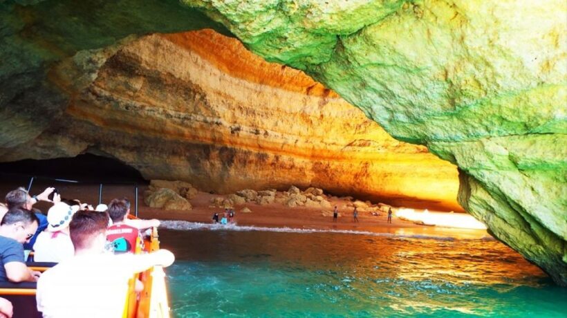 Safari & Boat Tour - Mountains & Dolphins - Who Should Consider This Tour?