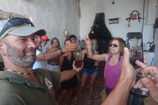 Safari & Boat Tour - Mountains & Dolphins - Accessibility and Logistical Details