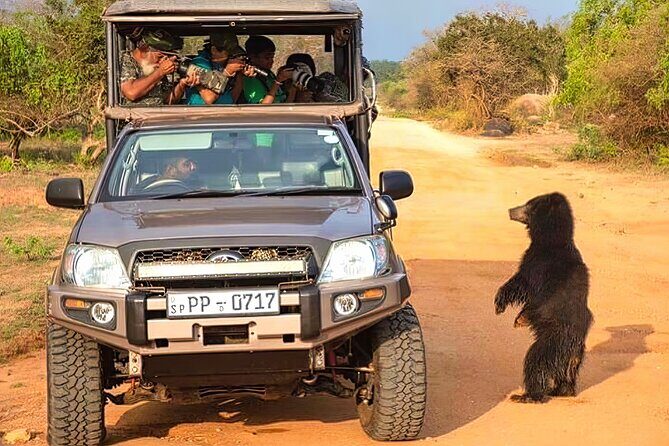 Safari Expedition's in Wild Wonders of Yala - Introduction: What’s the Experience Like?