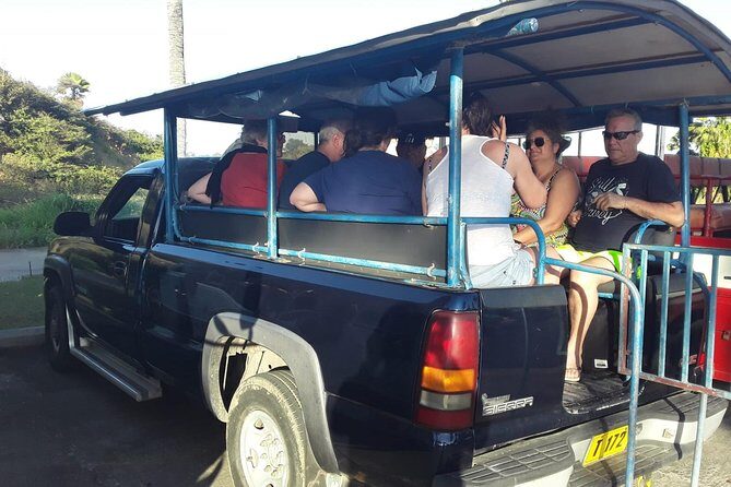 Safari Extravaganza - An In-Depth Look at the Safari Extravaganza