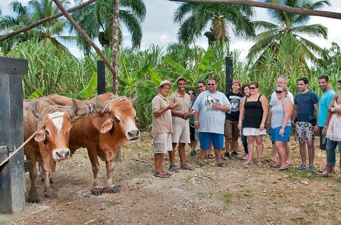 Safari Full Day Outdoor Adventure in Punta Cana - FAQ