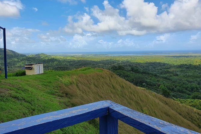 Safari Full Day VIP Experience - Introduction