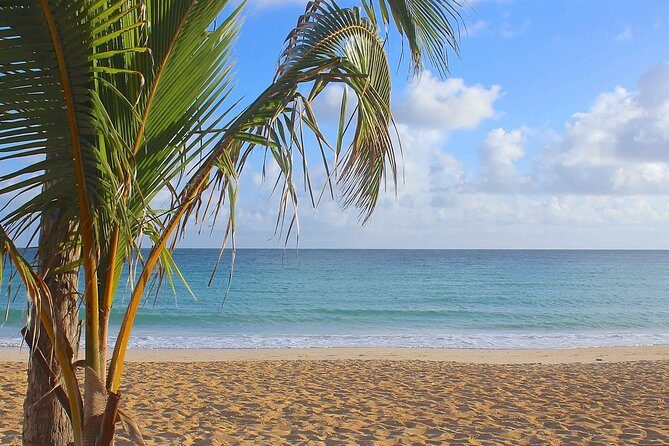 Safari Full Day VIP Experience - Who Should Consider This Tour?