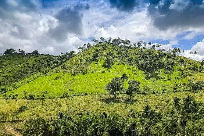 Safari Half Day Experience from Punta Cana - Who Will Enjoy This Tour?