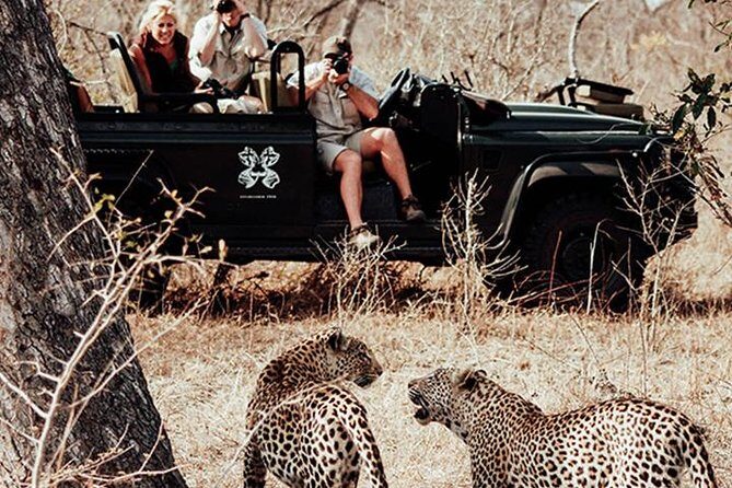 Safari In Jhalana Leopard Conservation Reserve, Jaipur - Who Should Consider This Safari?