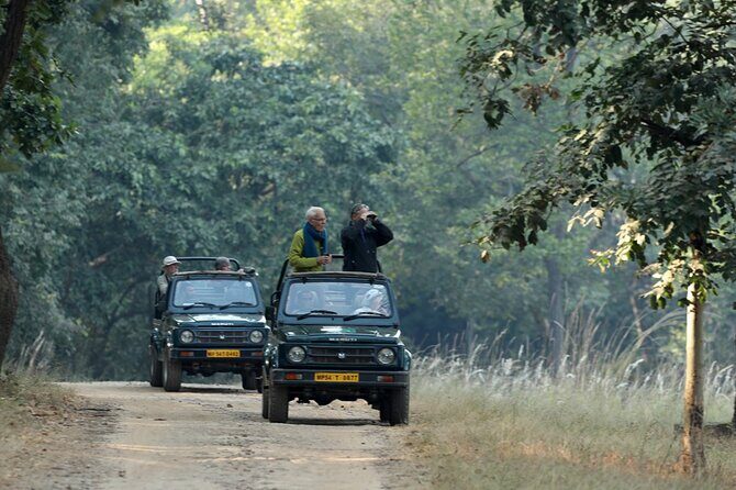 Safari in Pench National Park - Detailed Review of the Safari Experience