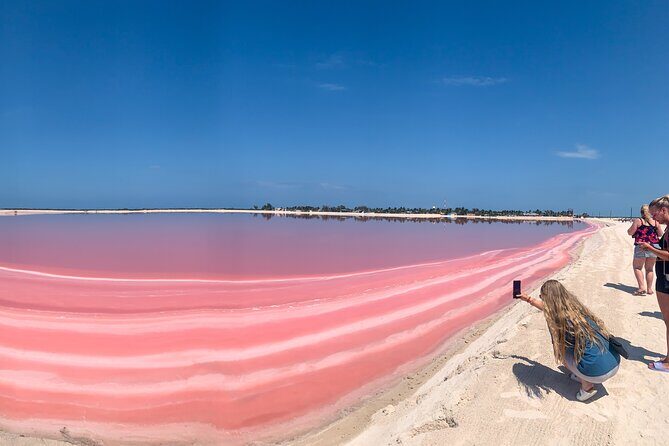 Safari in Rio Lagartos, Coloradas and Mayan Bath - An Honest Look at the Rio Lagartos, Coloradas, and Mayan Bath Tour