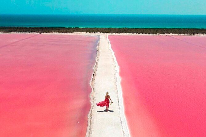 Safari in Rio Lagartos, Coloradas and Mayan Bath - Who Should Consider This Tour?