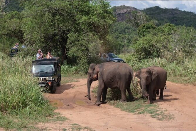 Safari Jeep in Hurulu Eco Park Sri Lanka wit Pigeon Island Tours - Discovering the Hurulu Eco Park Safari with Pigeon Island Tours
