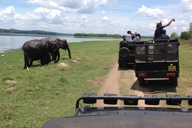 Safari Jeep in Hurulu Eco Park Sri Lanka wit Pigeon Island Tours - Who Should Consider This Tour?