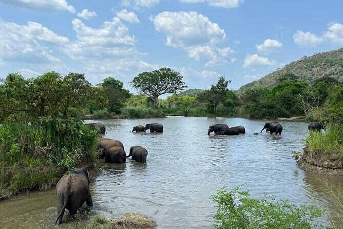 Safari Jeep in Hurulu Eco Park Sri Lanka wit Pigeon Island Tours - FAQs