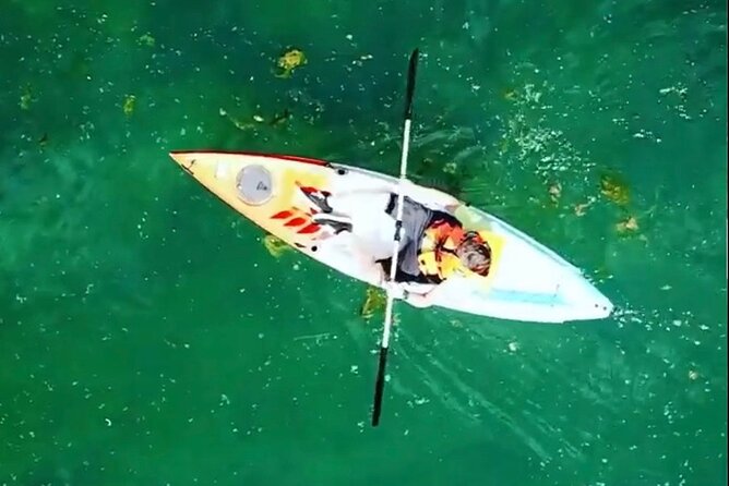 Safari Kayak Adventure W BBQ & Beer - Important Considerations