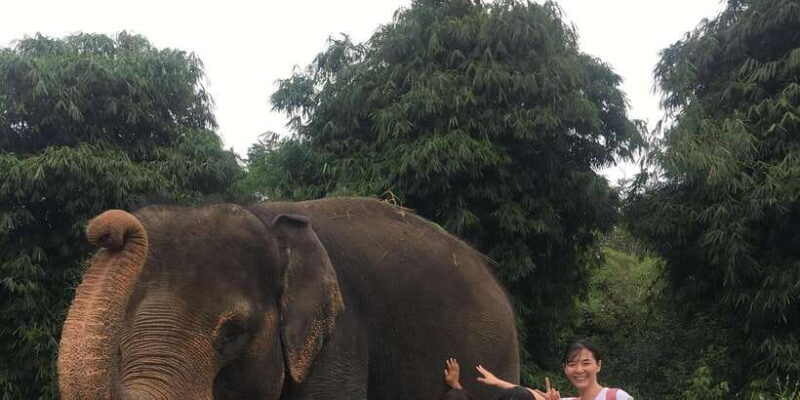 Safari Lagoi & Eco Farm Bintan - The Journey and Logistics