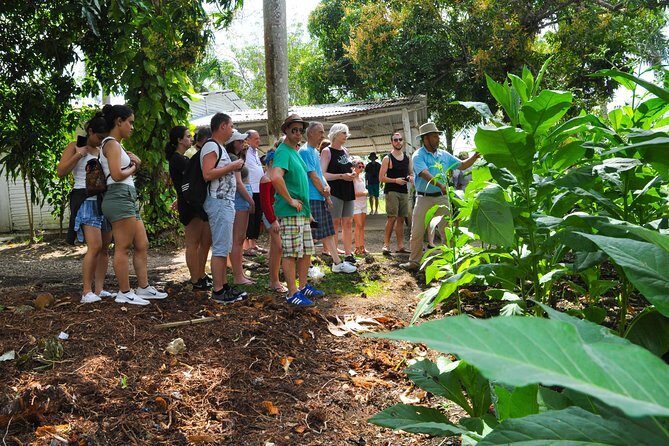 Safari Supreme Full Day Outdoor Adventure Punta Cana - Value and Price