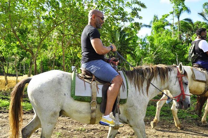 Safari Tour in Punta Cana todo el dia una Aventura inolvidable - Frequently Asked Questions