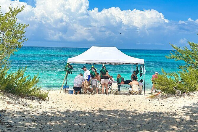 Safari Tour  Paradisiacal Excursion to Bahía de las Águilas - Key Points