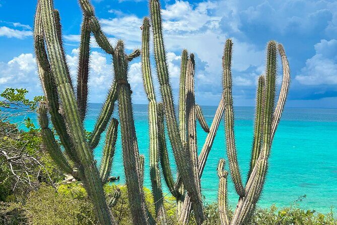 Safari Tour  Paradisiacal Excursion to Bahía de las Águilas - What the Reviews Tell Us