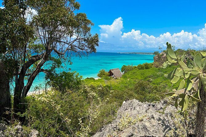 Safari Tour  Paradisiacal Excursion to Bahía de las Águilas - Transportation, Pricing, and Practicalities