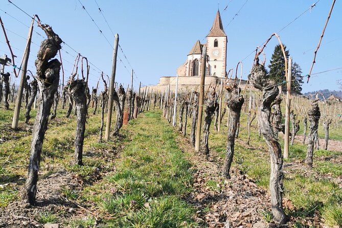 Safari-Tour: the emblematic and Perfume Workshop of Alsace, for the day - How This Tour Adds Value