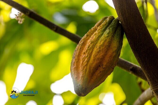 Safari tour with Jhoraji : mountain rivers and local market - A Delicious Dominican Lunch by the Ana Mulla River