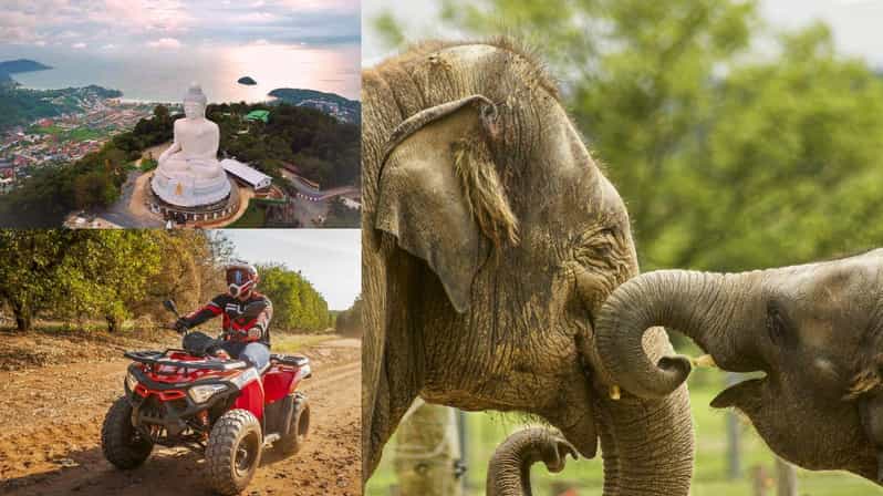 Safari Trails & Off-Road Ventures with Big Buddha - Key Points
