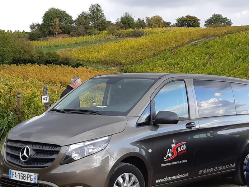 Safari Wine Villages & Wine tasting - Pricing & Value