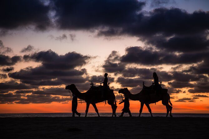 Safari with Camel Caravan to Explore Bajas Nature, Culture and Cuisine - The Sum Up