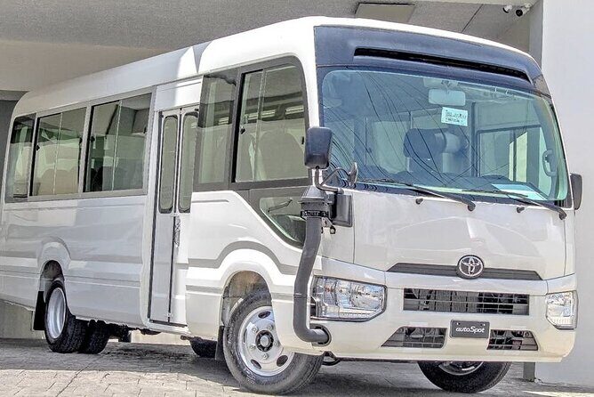 Safe transport and shuttle service in Punta Cana Dominican Rep. - An In-Depth Look at the Transportation Service