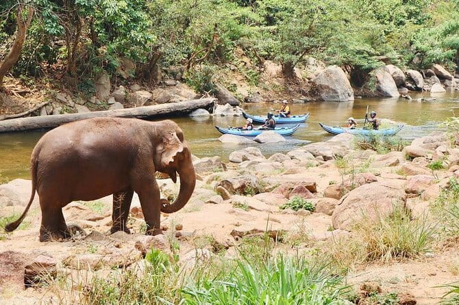 Safety whitewater rafting, Kayak, Quad bike , Trekking in Chiangmai - FAQ