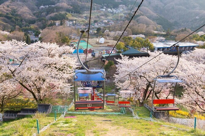 Sagamiko Resort Pleasure Forest Ticket and Ride Pass - Final Thoughts