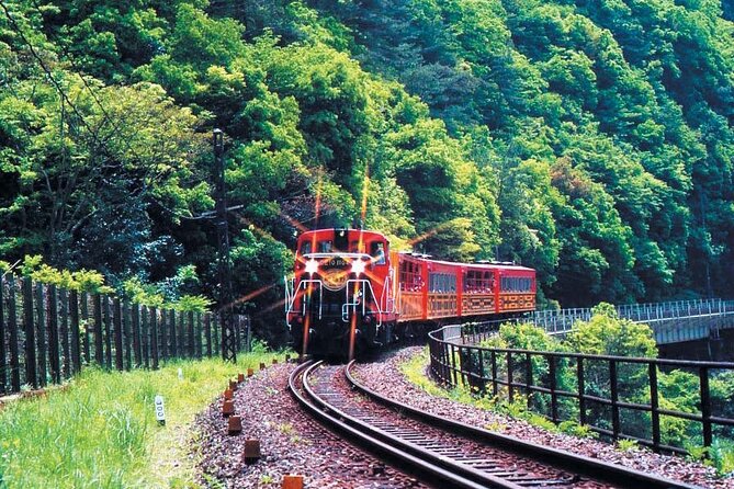 Sagano Romantic Train & Arashiyama, Kiyomizudera, Fushimi Inari Taisha Day Tour - Transportation and Meeting Details