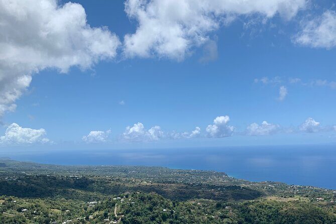 Sage Premier Taxi and Party Tours - The Transportation and Timing