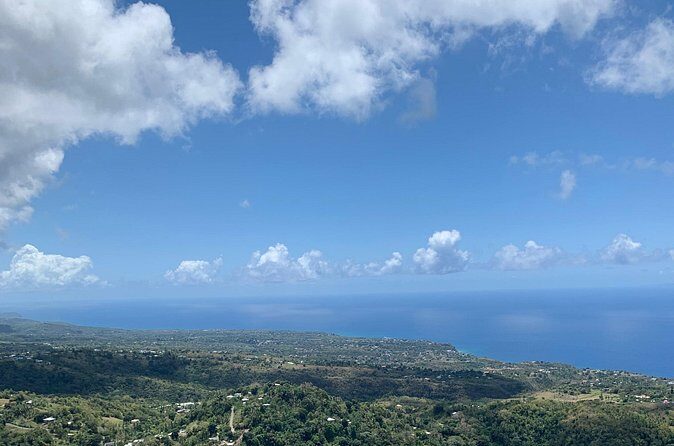 Sage Premier Taxi and Party Tours - Authentic Experiences and Traveler Perspectives