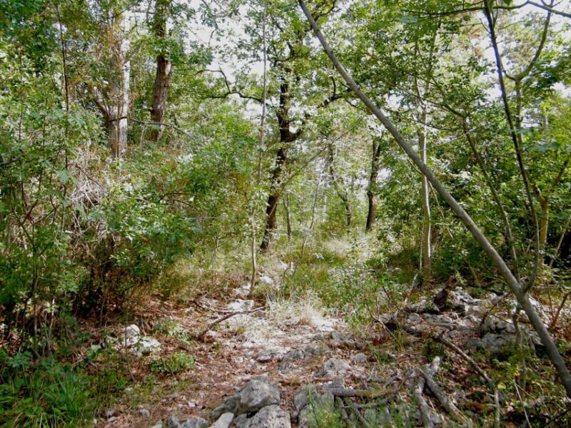 Sage Route - Who is This Tour Best For?