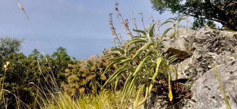 Sage Route - Final Thoughts: Is It Worth It?