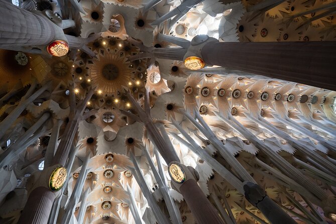 Sagrada Familia and Guell Park Private Tour With Drink and Tapa - Cancellation and Booking Information