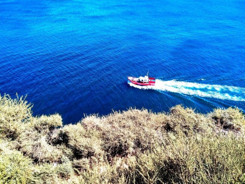 Sagres & Cape St. Vincent Half-Day Tour from Lagos - Who Should Consider This Tour?