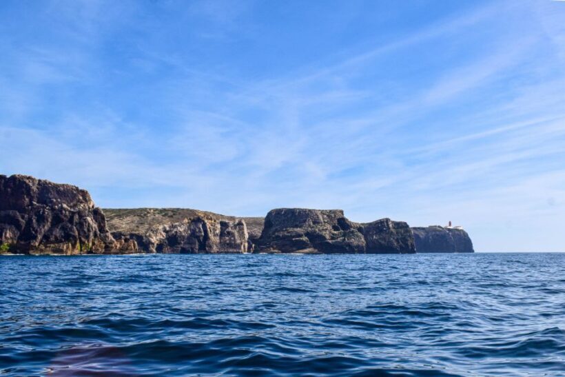 Sagres: Wildlife Tour Dolphins and Caves - The Experience: What We Think