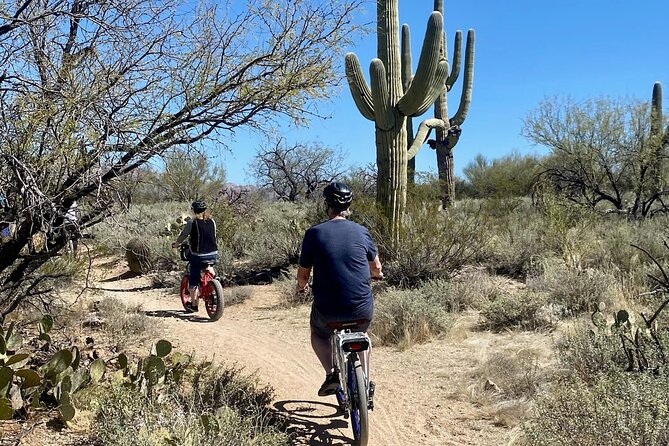 Saguaro National Park East E-Bike Tour - Who Is This Tour Best For?