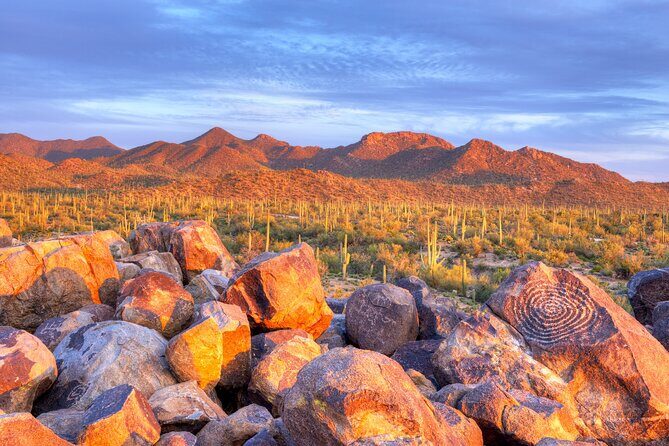 Saguaro National Park Self-Guided Audio Tour - A Deep Dive into the Saguaro National Park Self-Guided Tour