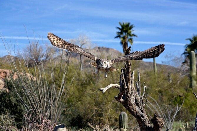 Saguaro National Park Self-Guided Driving Audio Tour - Who Would Love This Tour?