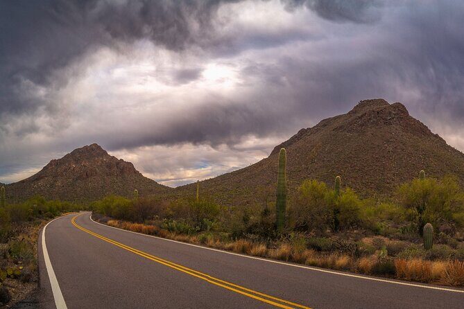 Saguaro National Park Self-Guided Driving Audio Tour - The Sum Up